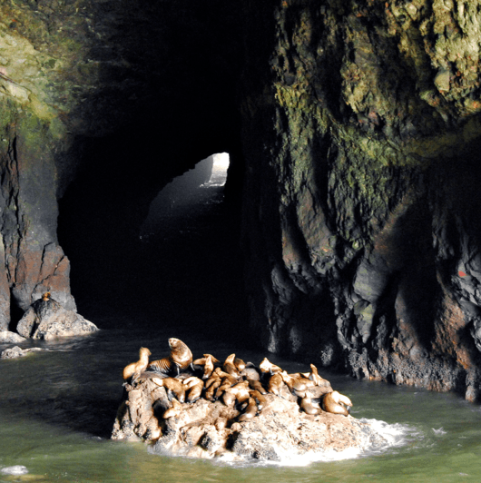 The Most Beautiful Sea Caves Around the World