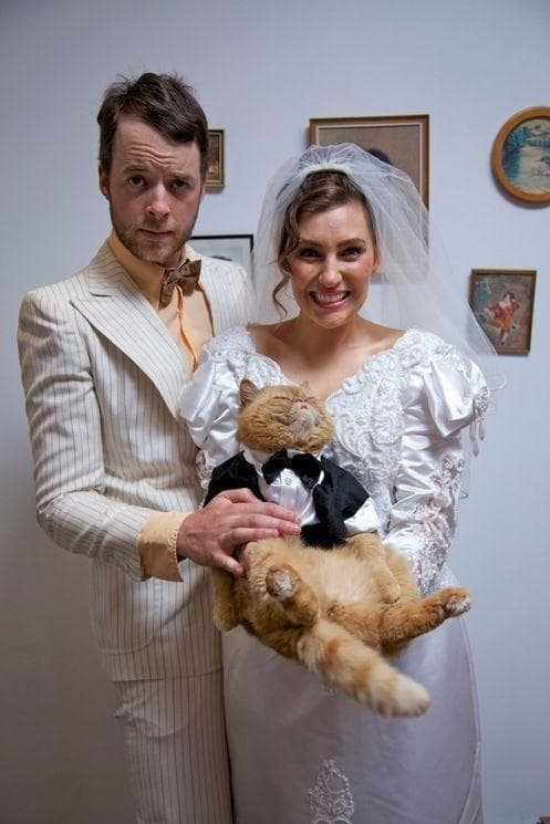 Purrfect Pictures of Cat Weddings