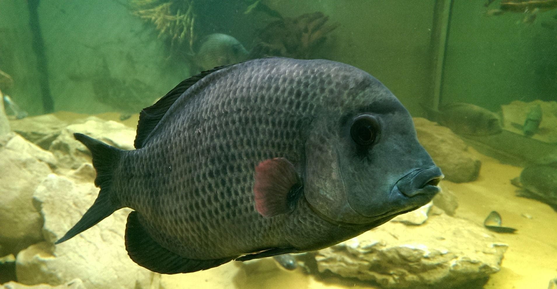 Nausea-Inducing Things You Didn't Know About Seasickness