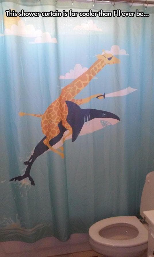 25 Funny Shower Curtains That Will Make You Smile