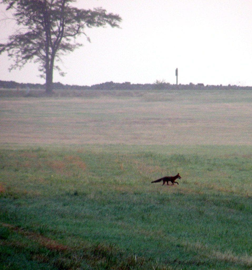 Creepy Civil War Legends and Ghost Stories