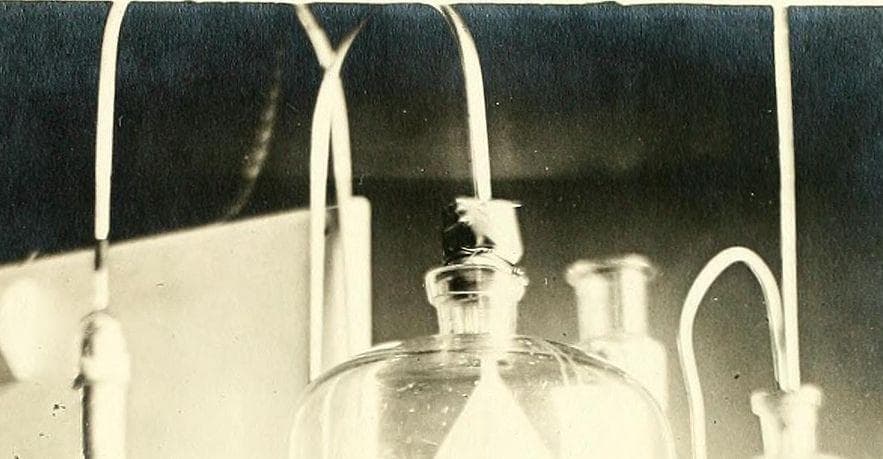 The Most Historically Important Food Innovations