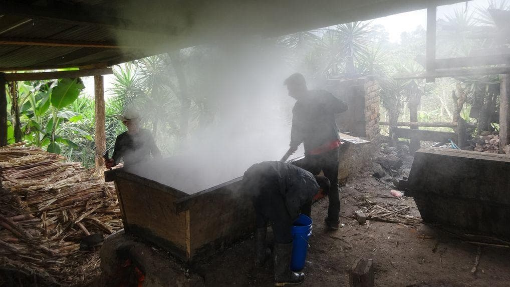 The Most Historically Important Food Innovations