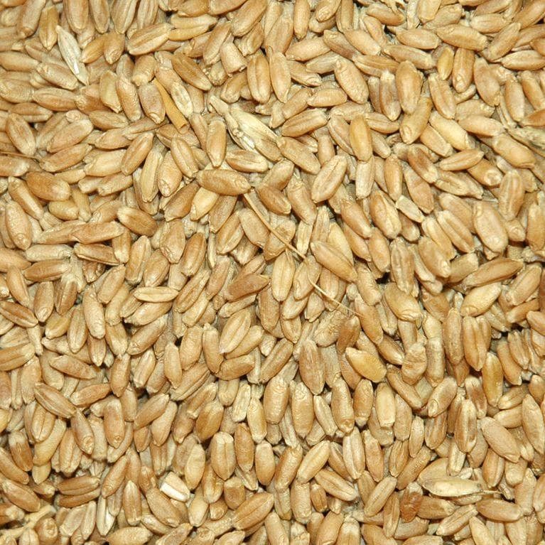 Things You Didn't Know About Grey Goose