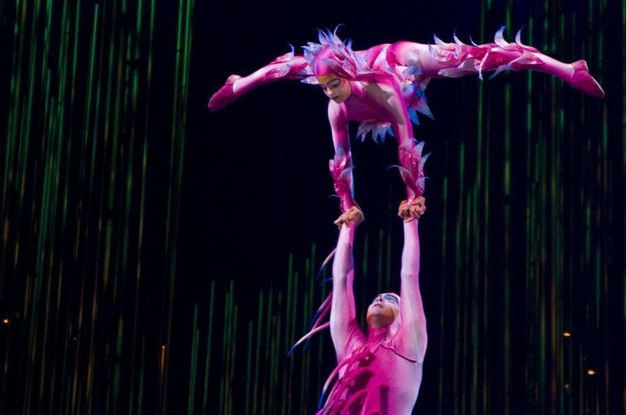 19 Crazy Facts You Didn't Know About Cirque Du Solei