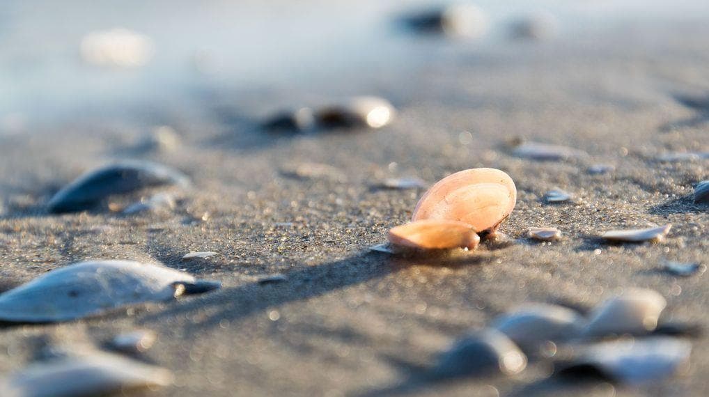 21 Crazy Facts about Britain Before Christianity Took Hold