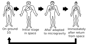 How to Poop in Space: A Guide to Astronaut Toilets and More