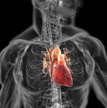 Freezing to Death: What Happens to Your Body