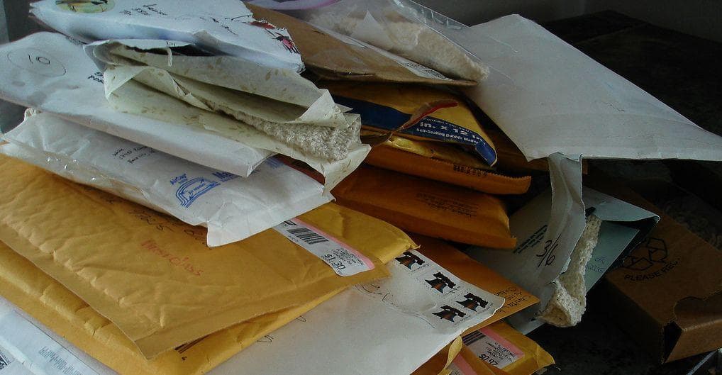 15 Things You Didn't Know About the Daily Life of a Mailman
