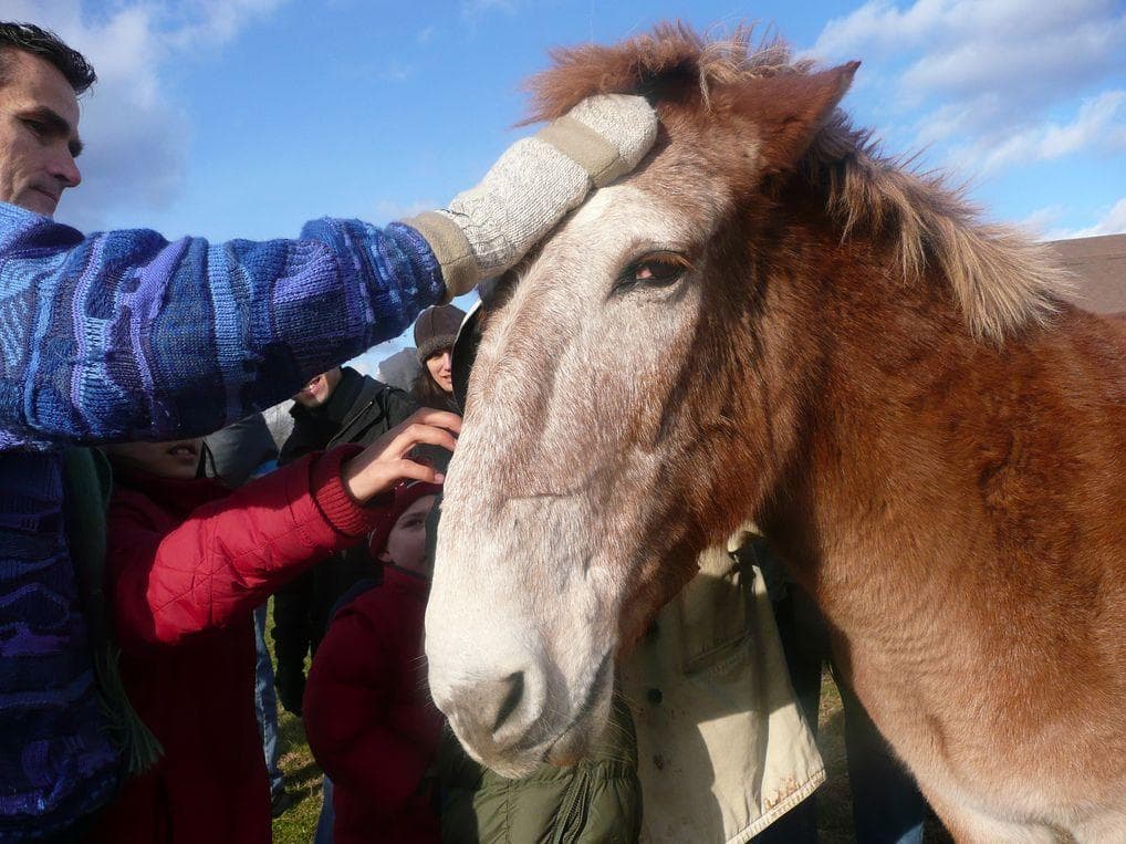 15 Things You Didn't Know About the Daily Life of a Mailman