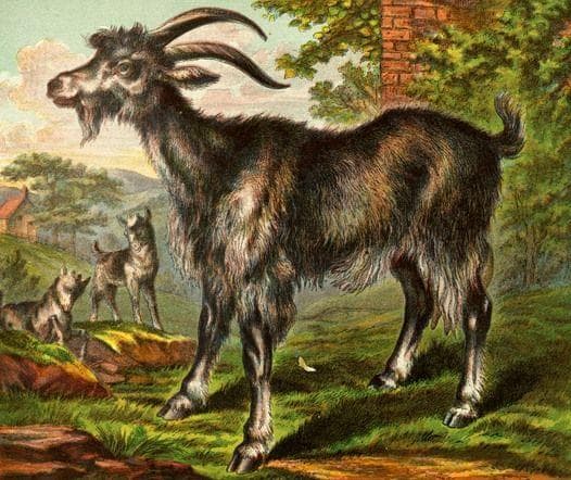 15 Bible Rules Most People Don't Know About