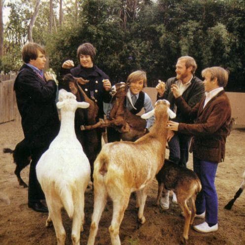 Groovy Things You Didn't Know About the Beach Boys