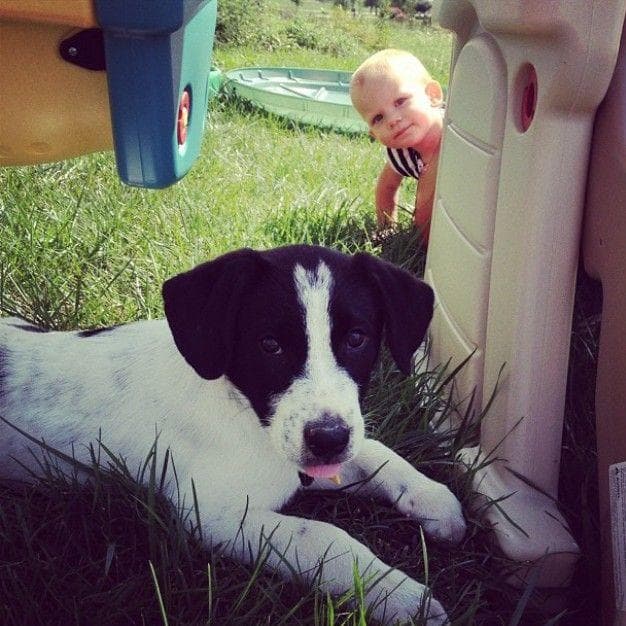 The Greatest Baby Photobombs Ever