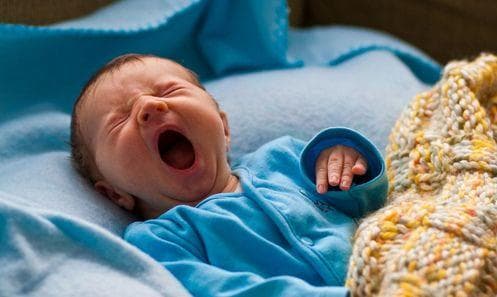 22 Surprising Facts About Yawning You Probably Didn't Know