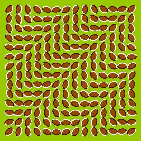 12 Optical Illusions That Look Like They're Moving