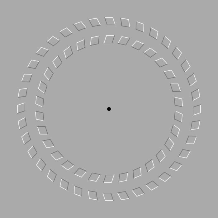 12 Optical Illusions That Look Like They're Moving