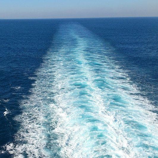 What It's Like Falling from a Cruise Ship