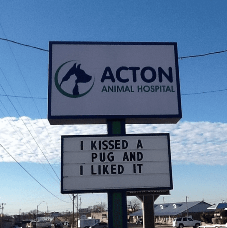 20 Extremely Clever Vet Signs