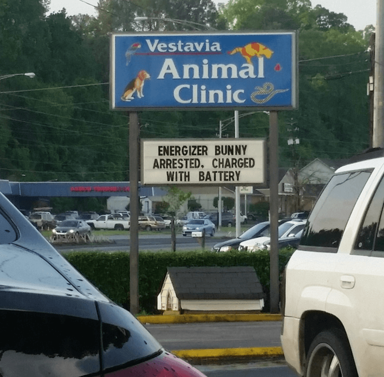 20 Extremely Clever Vet Signs