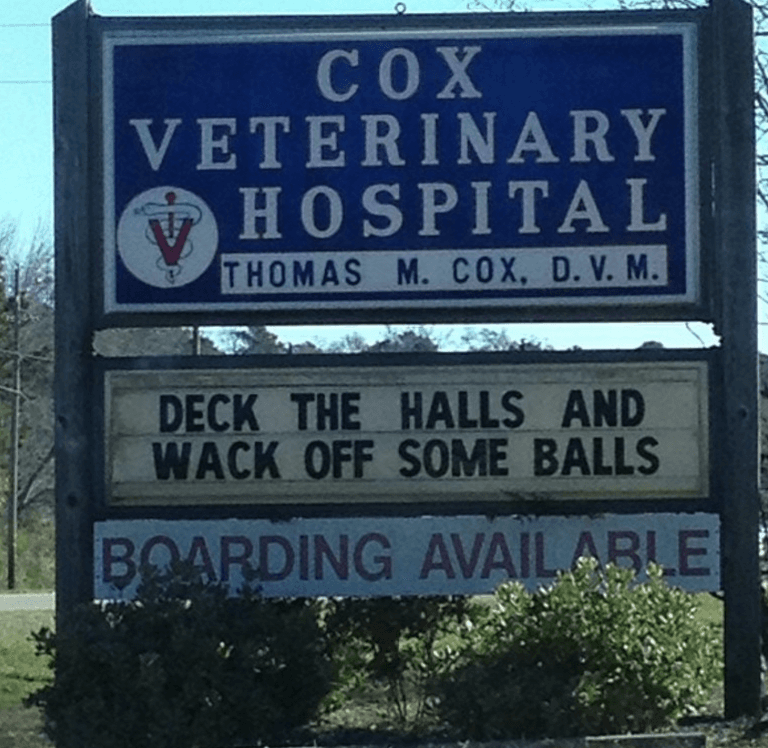 20 Extremely Clever Vet Signs
