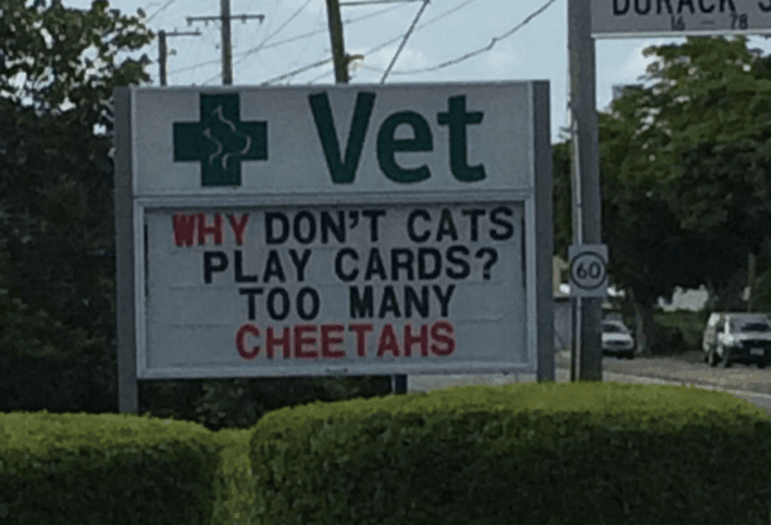 20 Extremely Clever Vet Signs