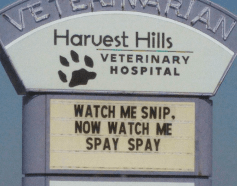 20 Extremely Clever Vet Signs