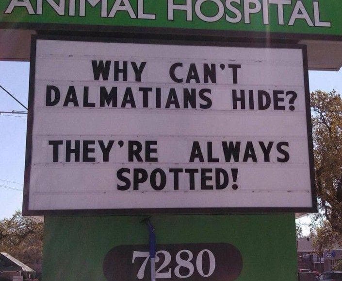 20 Extremely Clever Vet Signs