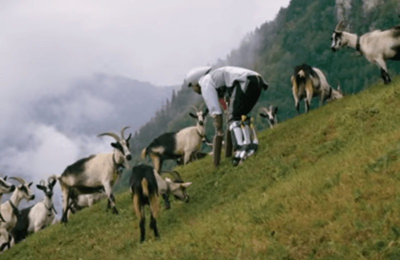 16 True Stories of People Who Actually Tried to Become Animals