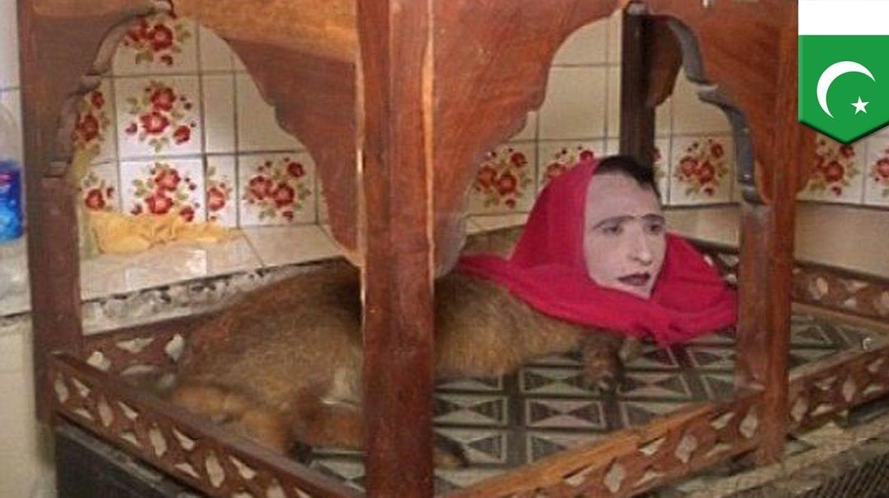 16 True Stories of People Who Actually Tried to Become Animals