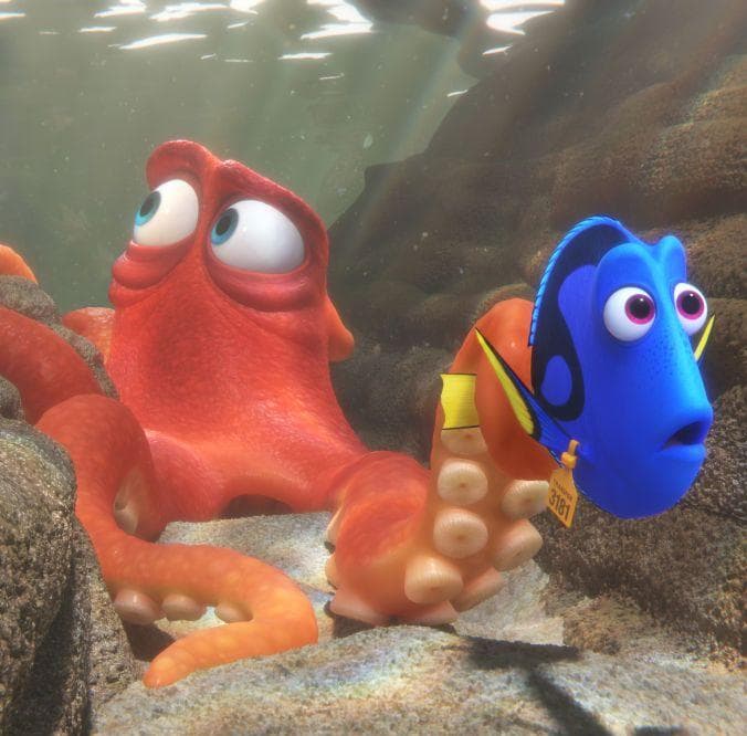 Finding Dory Movie Quotes