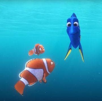 Finding Dory Movie Quotes