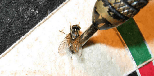 20 Magical "Once in a Lifetime" Photos Taken at the Perfect Time