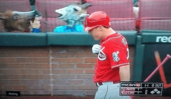 The 25 Funniest MLB Fan Photos Ever