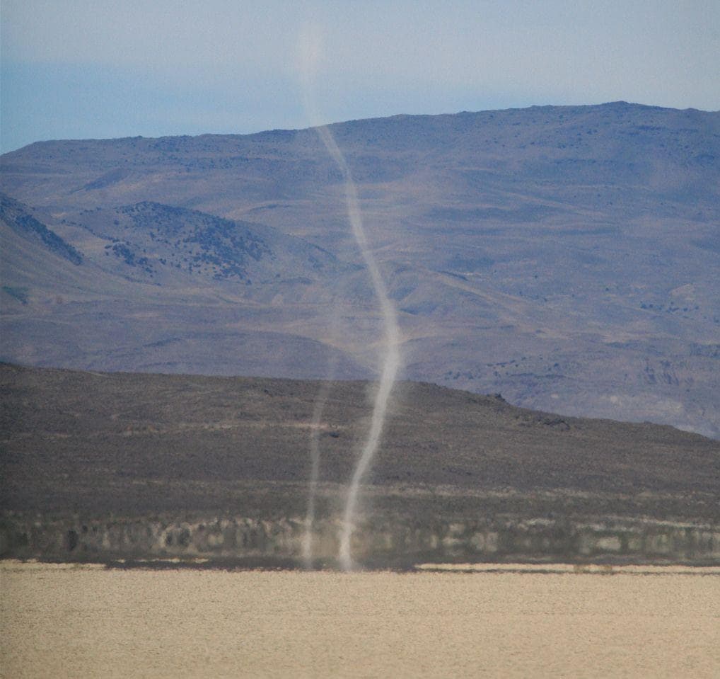 12 Interesting Things That Only Take Place in Desert Lands