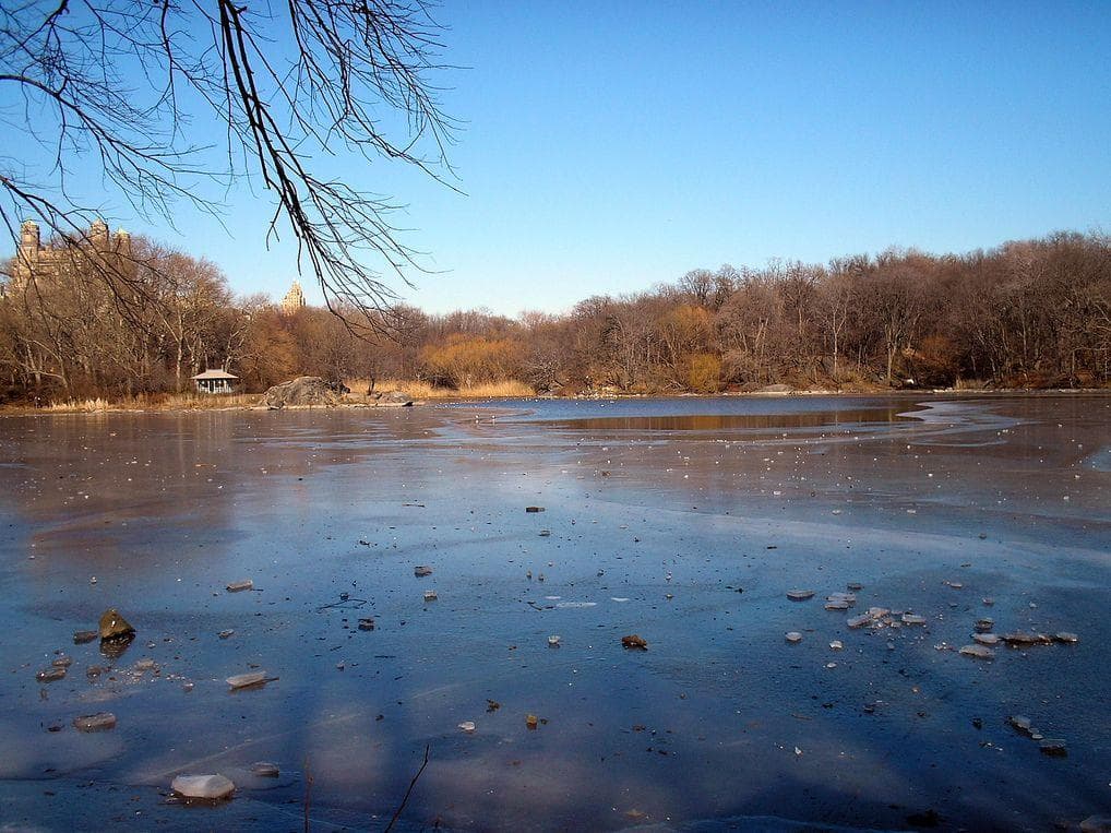 Famous Hermits and What They Did Out There