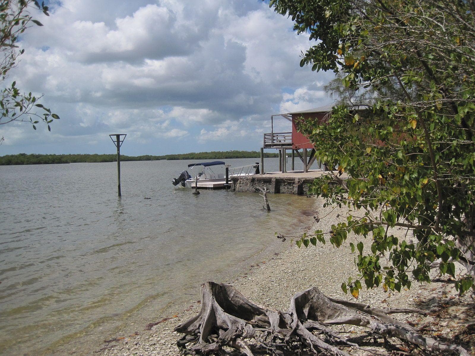 Creepy Stories & Legends About the Florida Everglades