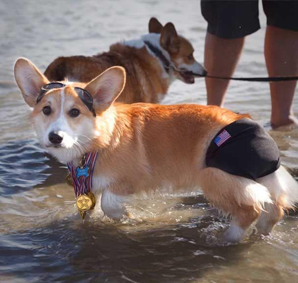 The Funniest Moments In Speedo History