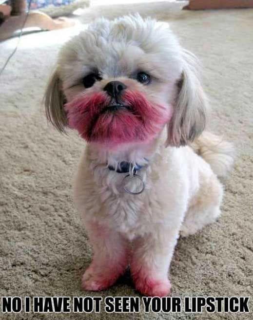 The Funniest 'Caught In The Act' Photos Ever