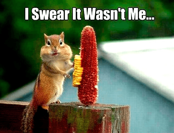 The Funniest 'Caught In The Act' Photos Ever