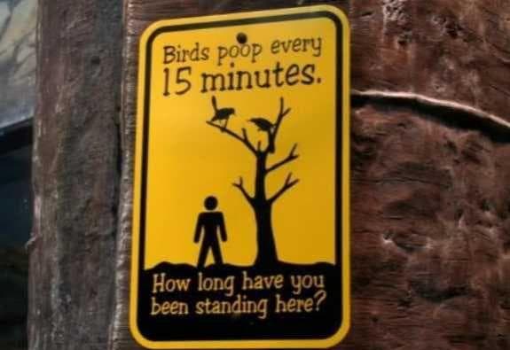 19 Funny Zoo Signs That Will Leave You Scratching Your Head