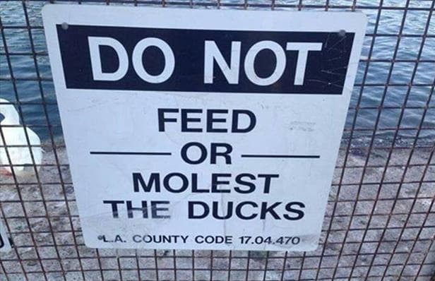 19 Funny Zoo Signs That Will Leave You Scratching Your Head