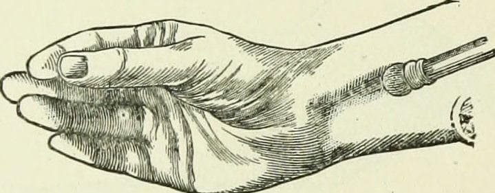 Surprising Traits You Didn't Know Were Vestigial