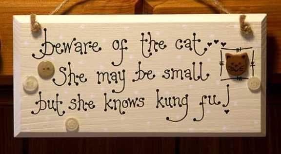 22 Funny "Beware of Cat" Signs to be Taken Seriously