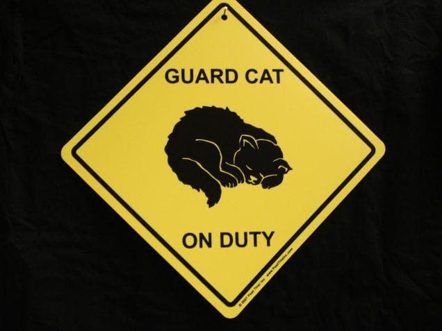 22 Funny "Beware of Cat" Signs to be Taken Seriously