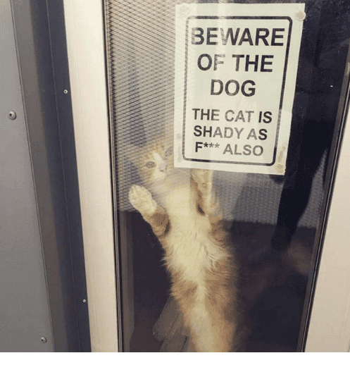 22 Funny "Beware of Cat" Signs to be Taken Seriously