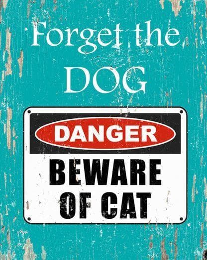 22 Funny "Beware of Cat" Signs to be Taken Seriously