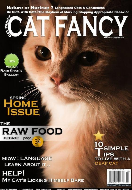 The Most Regal Felines from the Cover of Cat Fancy