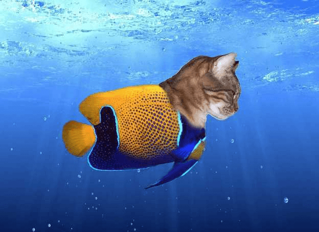 Visual Puns Ideas Examples