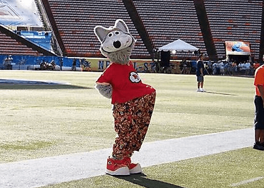 The Funniest Mascot Photos in Sports History