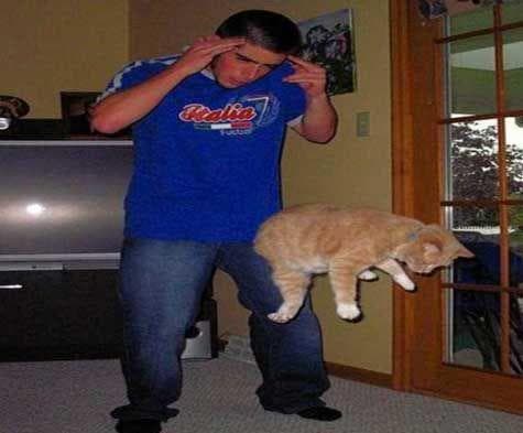 21 People Who Were Caught Using The Force